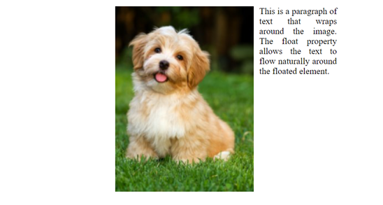 CSS Float Property