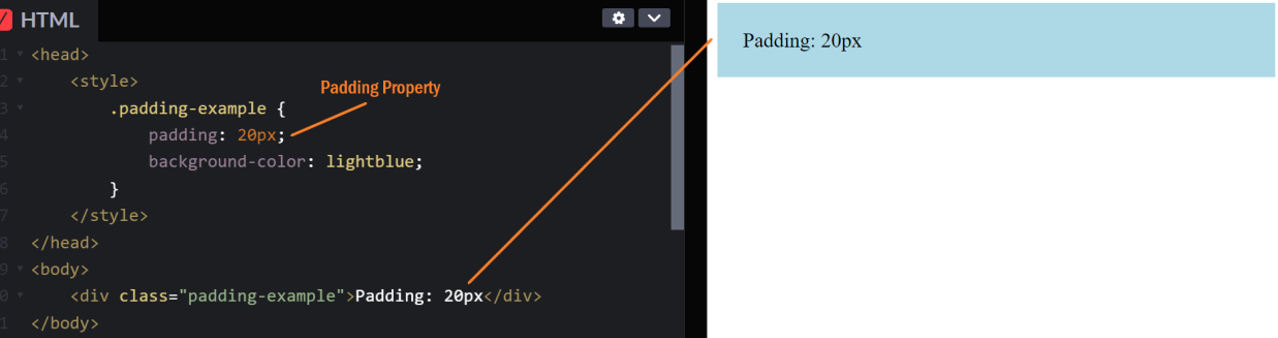 Master CSS Box Model: Step-by-Step Guide