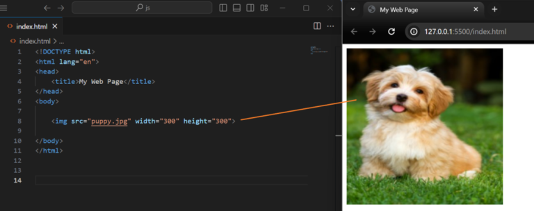 Learn HTML Images: Comprehensive Guide and Training