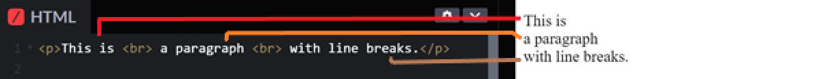 Learn HTML Paragraphs Online – Free Training