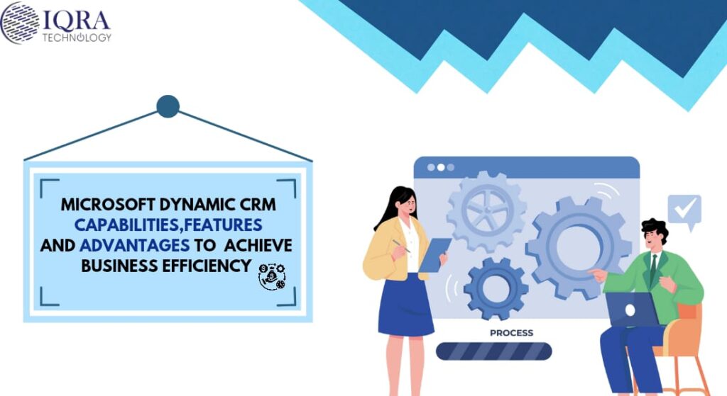 Microsoft Dynamics CRM Features