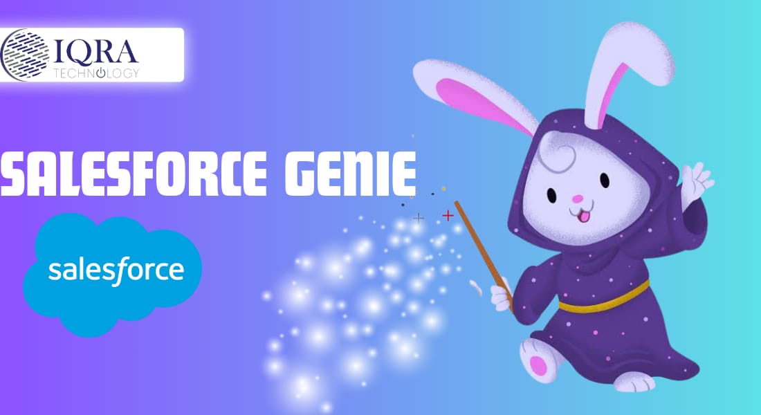 Salesforce Genie | Iqra Technology